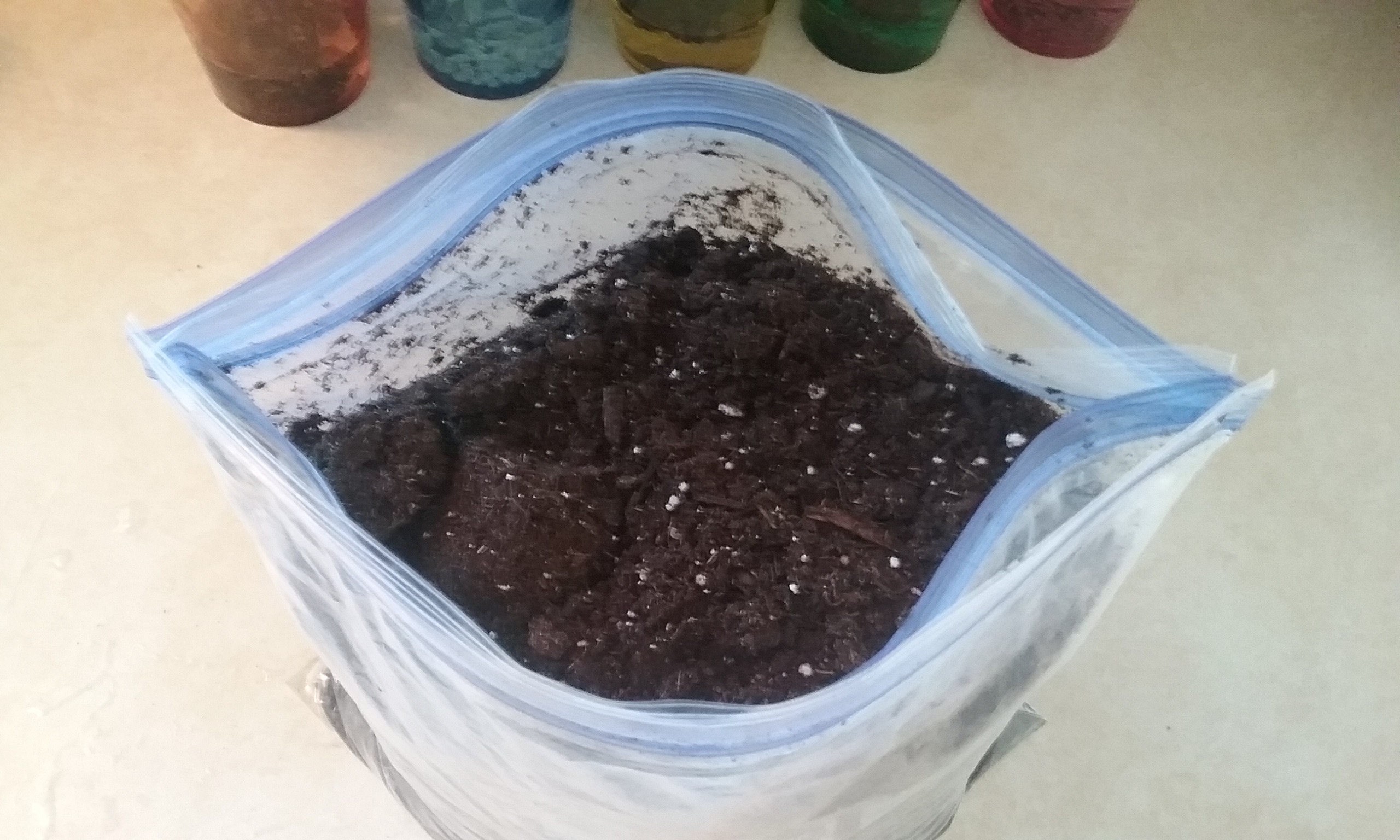 soil sprouts 3 pete eyre free keene potting soil | Free Keene